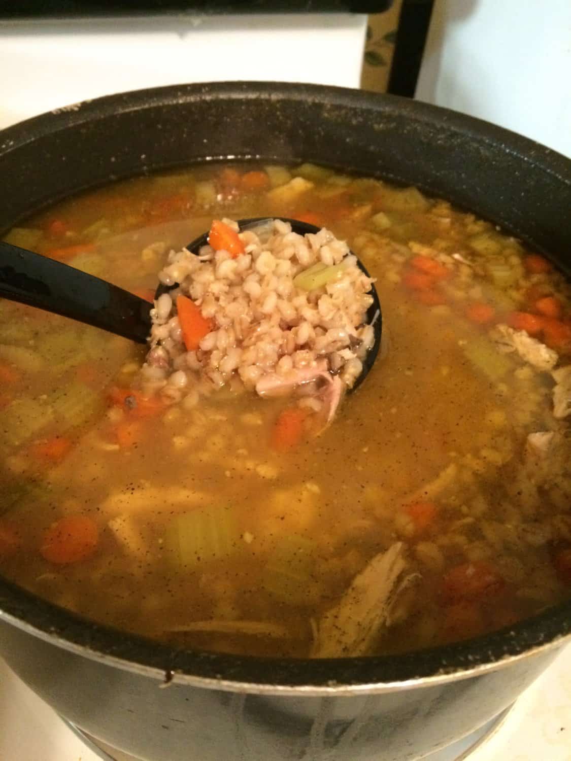 Properly Prepared Barley | Embracing Motherhood