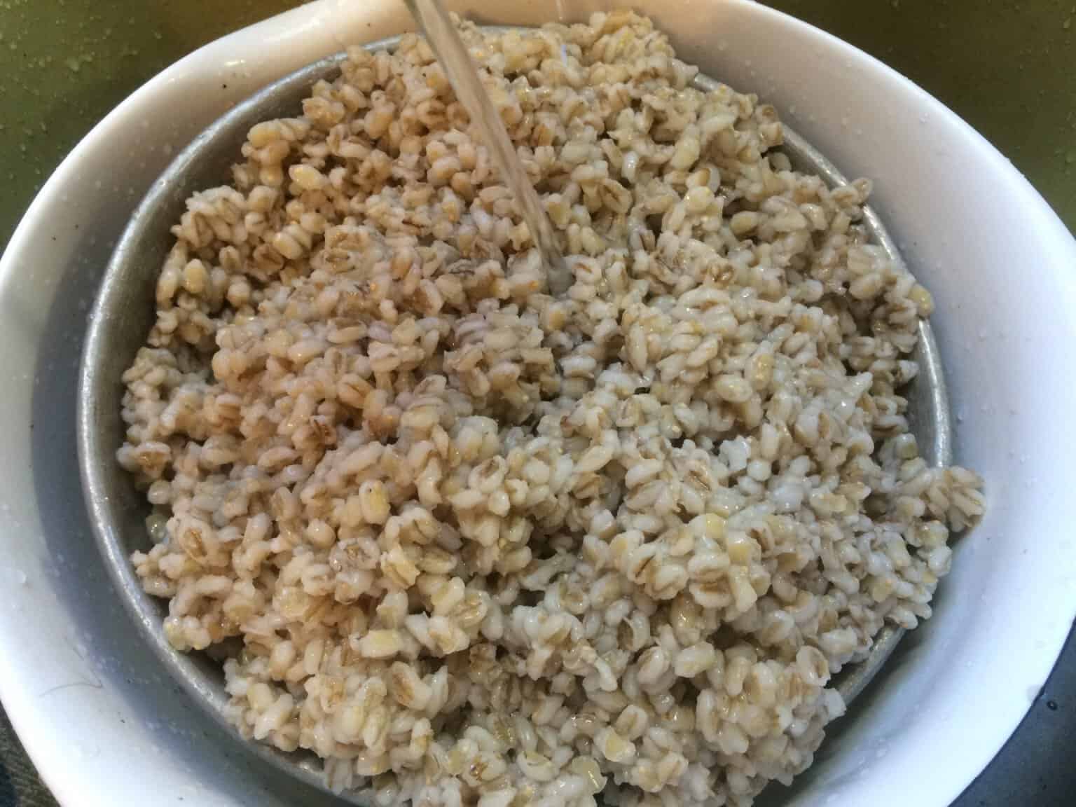 Properly Prepared Barley | Embracing Motherhood