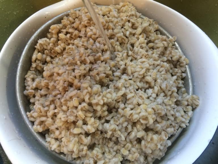 Properly Prepared Barley | Embracing Motherhood