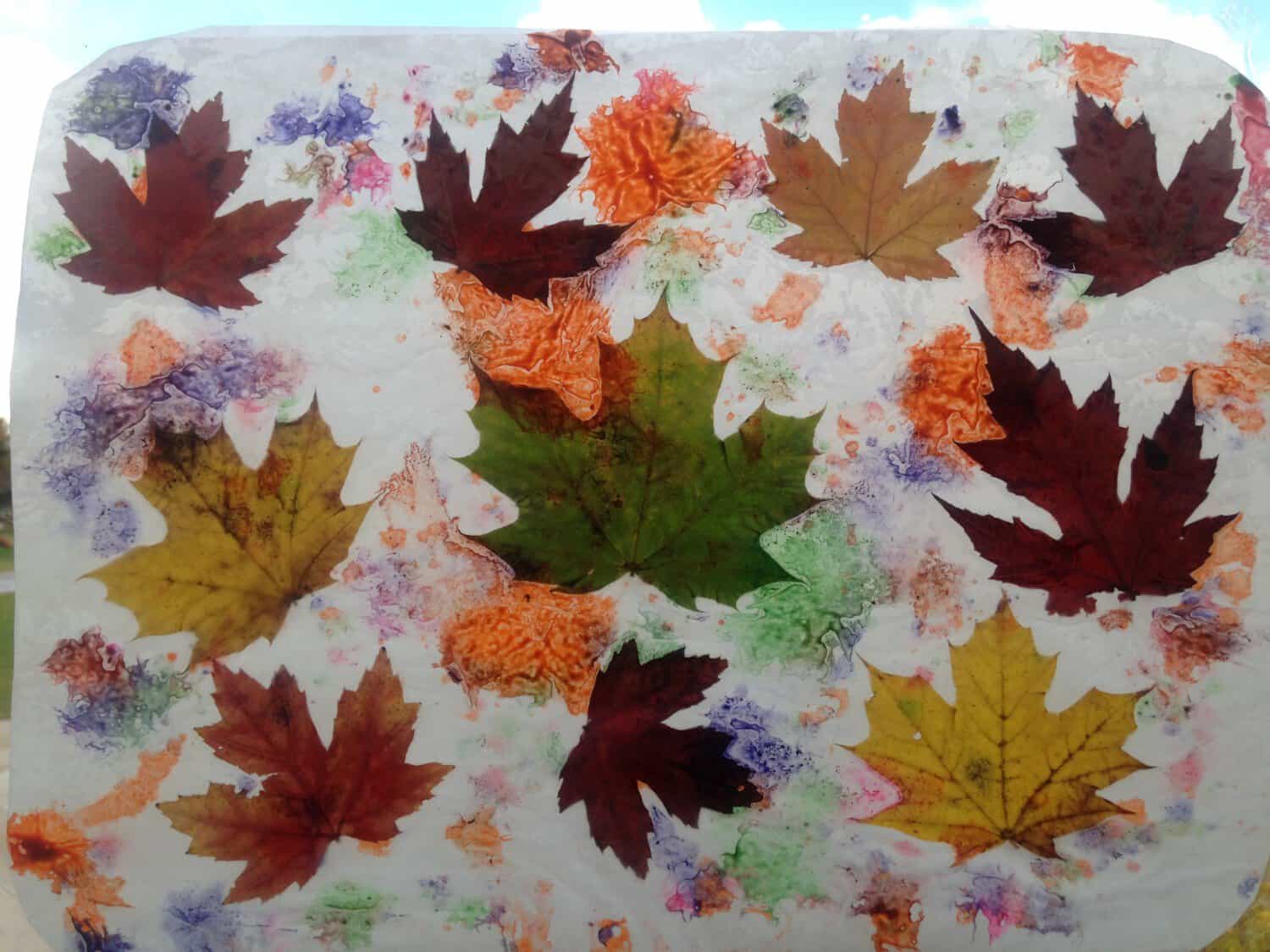 6 Fall Leaf Art Activities | Embracing Motherhood