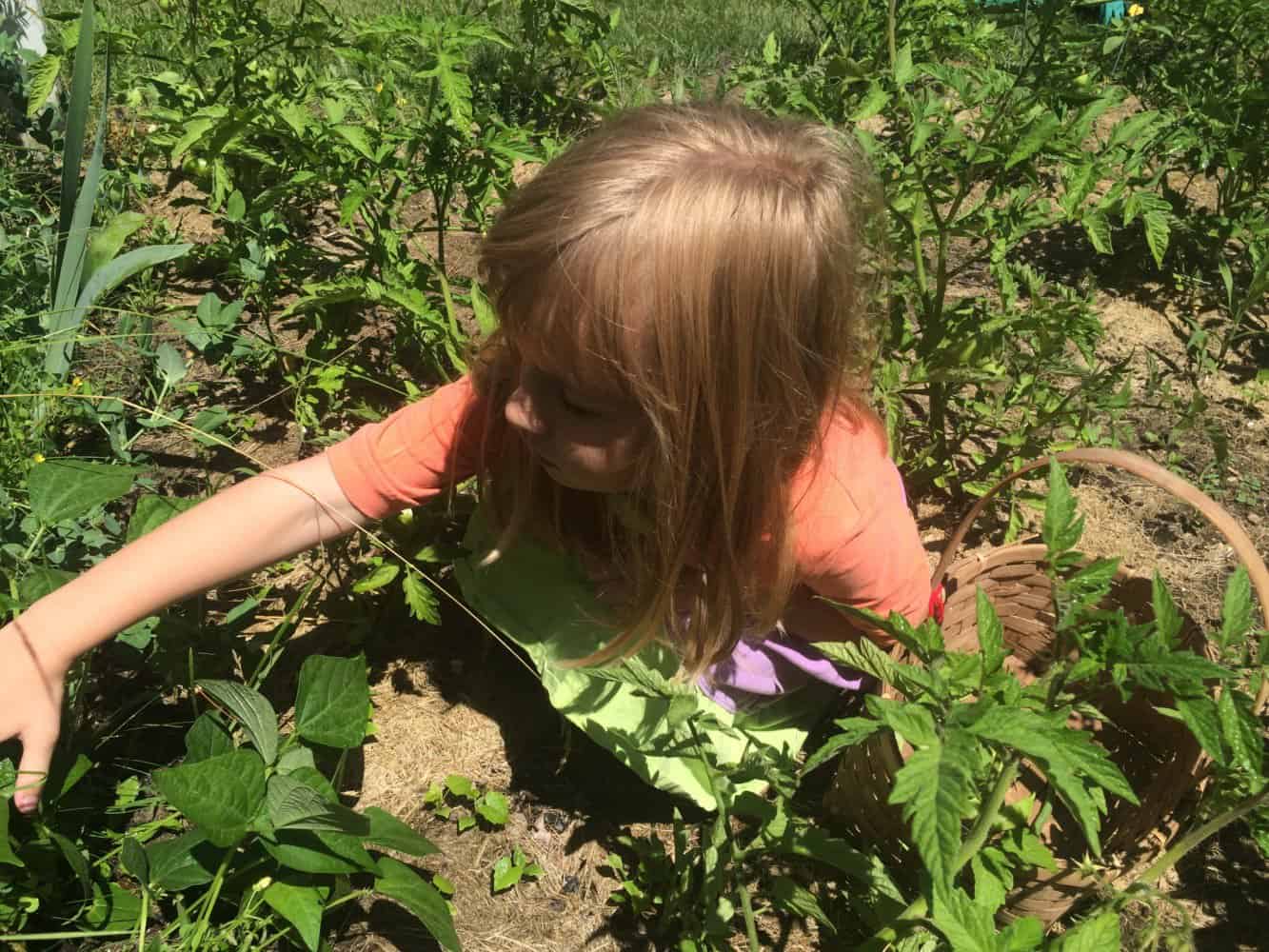 DIY Backyard Ideas for Summer Fun with Young Children | Embracing ...