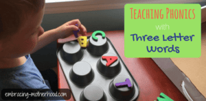#6-Teaching Phonics with Three Letter Word Families | Embracing Motherhood